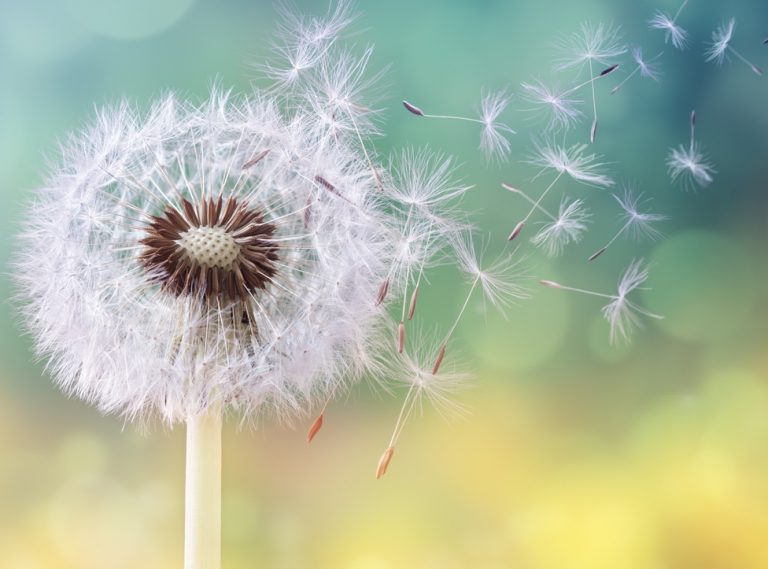 Research: Does Homeopathic Succussion Make A Difference? | Homeopathy Plus